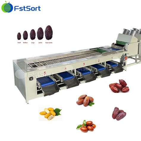 Fruit Washing Drying Sorting Machine Fruit Washing Equipment Fruit Cleaning Fruit Processing