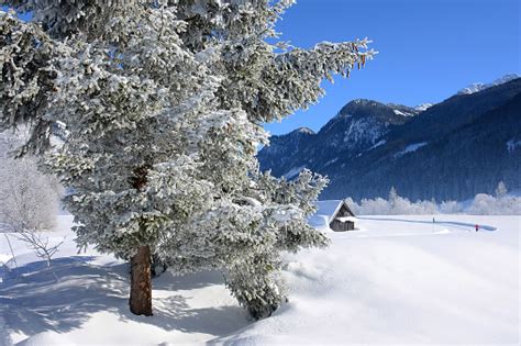 어퍼 오스트리아 남쪽의 겨울 원더랜드 고사우는 크로스컨트리 스키의 천국입니다 0명에 대한 스톡 사진 및 기타 이미지 0명 European Capital Of