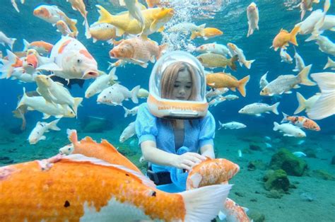 Bergaya Di Bawah Air Wisata Umbul Ponggok Klaten Punya Banyak Spot