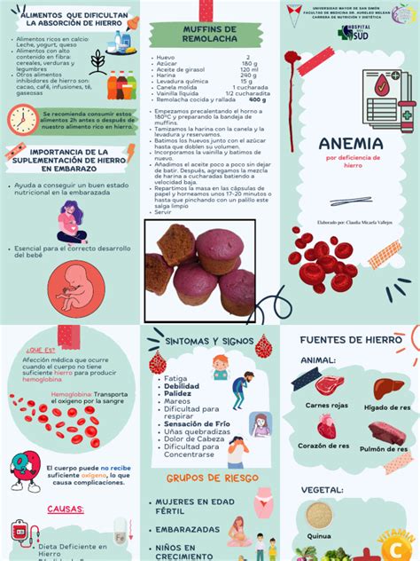Triptico De Anemia H Del Sud Micaela Vallejos Pdf Alimentos