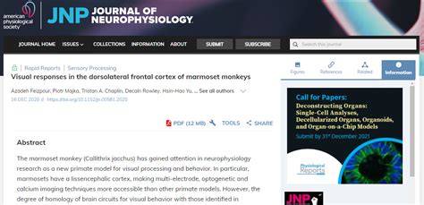 Journal Of Neurophysiology Articlesinpress Visual Responses In The Dorsolateral Frontal