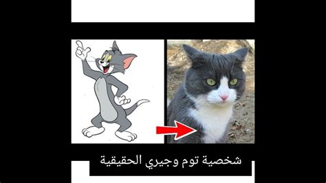 شخصيات الكرتون الشهير توم وجيري الحقيقية Youtube