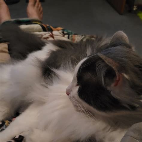 Dark Spawn 354 Youtube