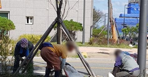 올 1분기 임금근로 일자리 50만개↑과반은 60대 이상 일자리