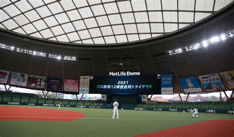 新庄監督「全員欲しい」12球団合同トライアウト Moment日刊ゲンダイ