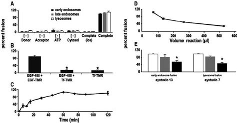 Characterization Of A Fret Based Assay Measuring Homotypic Compartment Download Scientific