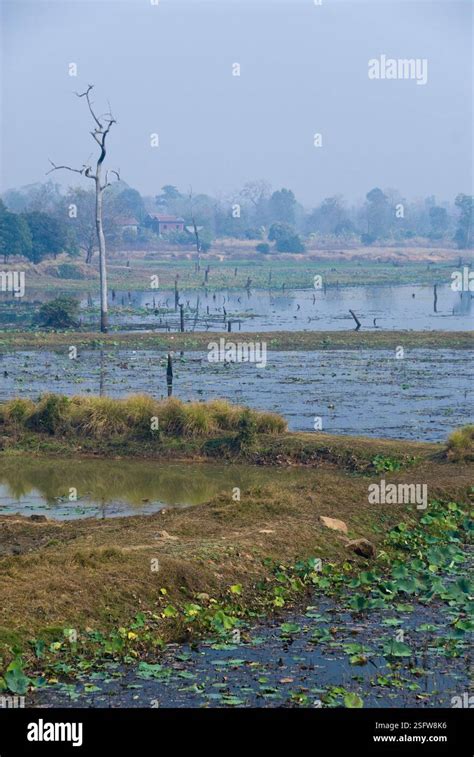 Ta Moks House Overlooks An Eerie Lake Near The Remains Of Pol Pots House Ta Mok Was A Senior