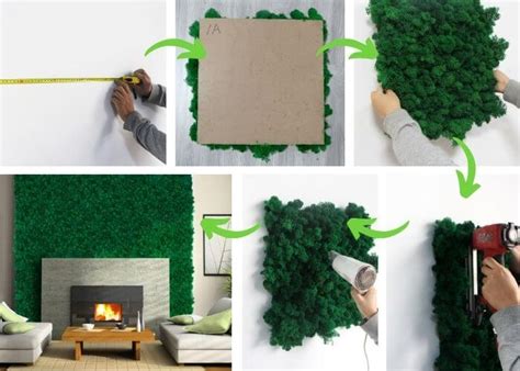 Easy Steps To Create Your Moss Wall Moss Supplier
