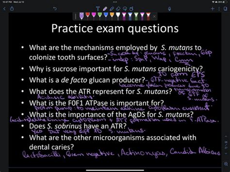 L23 Streptococcus Mutans Flashcards Quizlet