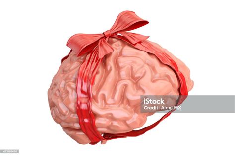 붉은 활과 리본 인간의 두뇌는 개념을 선물 흰색 배경에 고립 된 3 차원 렌더링 개념과 주제에 대한 스톡 사진 및 기타 이미지