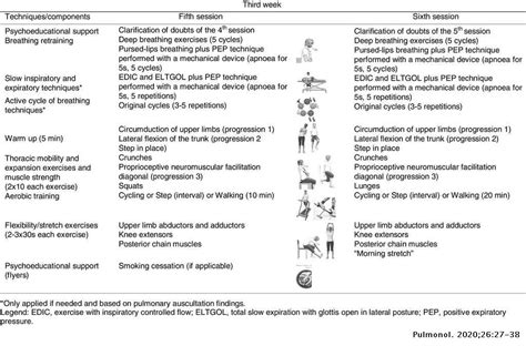Effects Of A Community Based Pulmonary Rehabilitation Programme During Acute Exacerbations Of