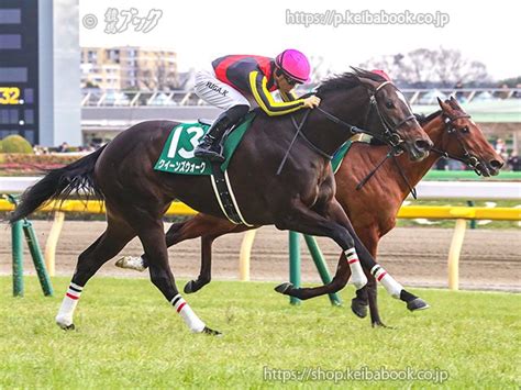 第59回 クイーンカップ 回顧 競馬 研究ニュース