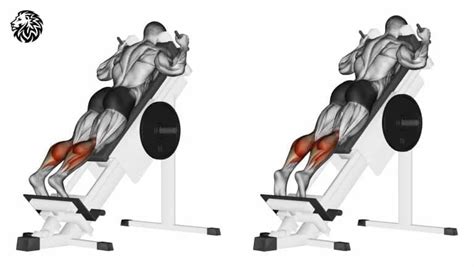 How To Do Hack Squat Calf Raises Angry Lion Fitness