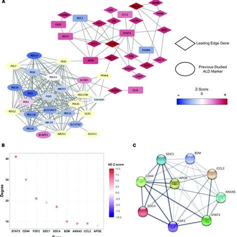 Results Of Wgcna And Module Preservation Analysis A Dendrogram