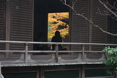 京都 Ganref
