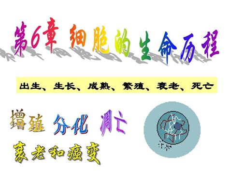 06 01细胞增殖课件 Word文档在线阅读与下载 无忧文档