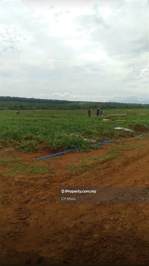 Pulau Pinang Tasek Gelugor Jarak Atas 210 Acres Industrial Land For Sale Pulau Pinang Tasek