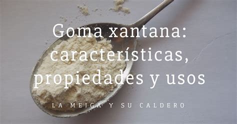 La meiga y su caldero Goma Xantana Características Propiedades y Usos