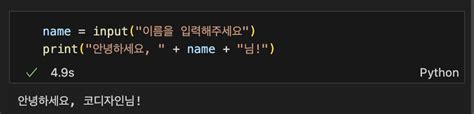 Python Input 함수 활용 예제 코드 Life Coder