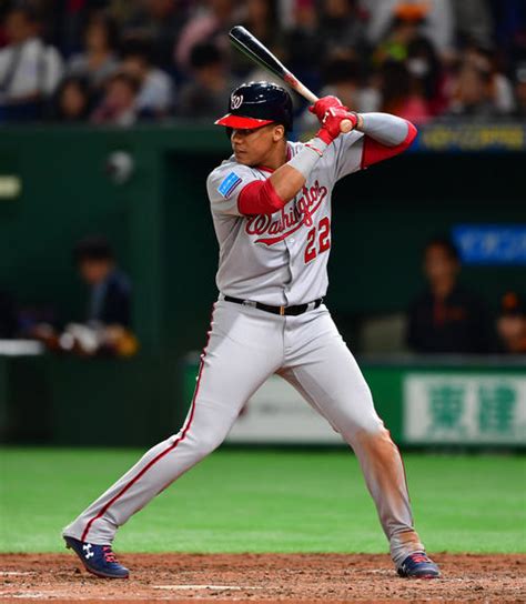 ナショナルズ・ソト、mlb史上最高額の約594億円オファーを拒否 24年シーズン後にfa Mlb 日刊スポーツ