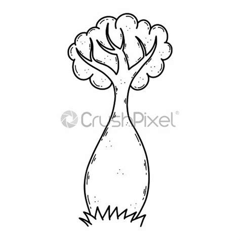 An Australian Tree Vector Doodle Illustration Sketch Nature Stock