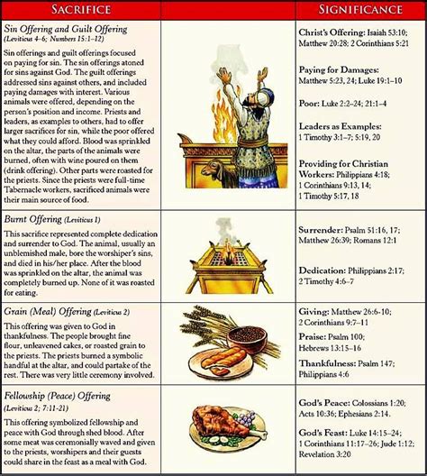 Bcc Bible Plan Levitical Offerings And Sacrifices