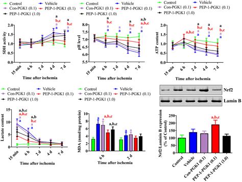 Phosphoglycerate Kinase 1 Protects Against Ischemic Damage In The