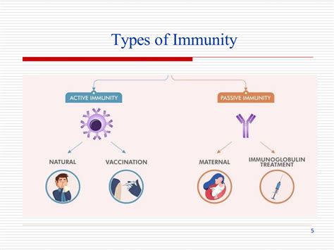 Immunity And Its Types Pptx