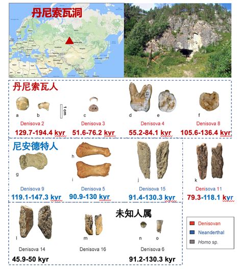 《科学》：古人类dna证实丹尼索瓦人曾长期生活在青藏高原 中国科学院青藏高原研究所