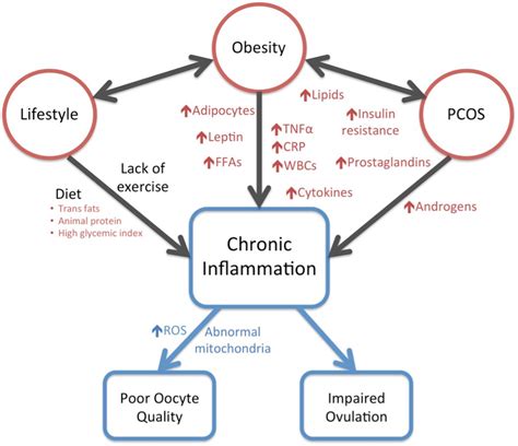 Pcos Hormonal Imbalance Treatment 2025