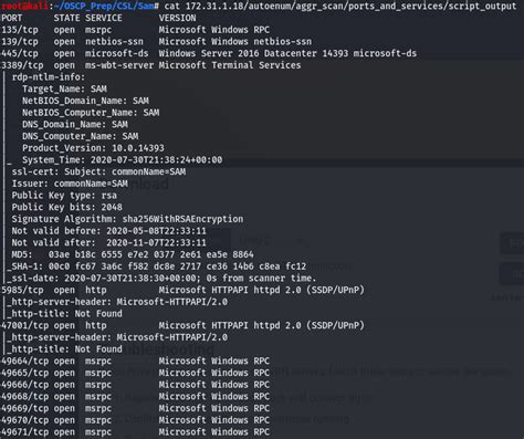 CyberSecLabs Sam Write Up GrimmzSec