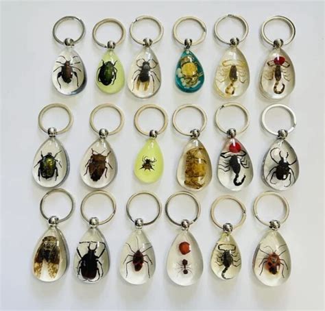 Bug Key Chains