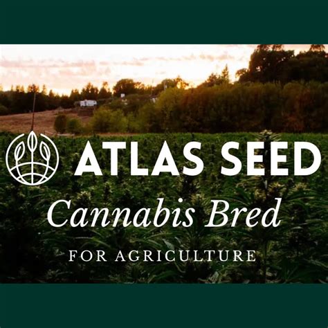 Atlas Seed North Atlantic Seed Co