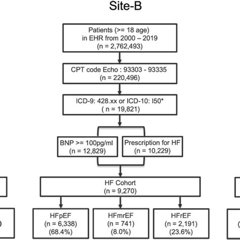 Hf Patients Identified As Ef Stable Ef Decrease And Ef Increase