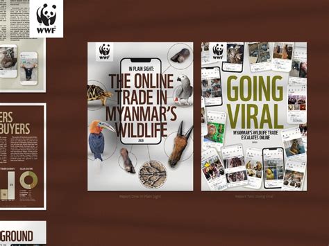 An Engaging And Unique Custom Report Layout Design With Infographics