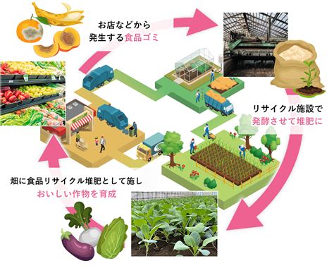 みどり工房｜みどりのちから｜環境にやさしい食物リサイクル堆肥｜リベジ野菜 みどり産業株式会社｜廃棄物の収集・処理・リサイクル
