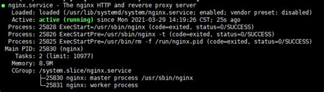 LinuxCentOS 上部署Asp Net Core应用程序全流程 p哼哼哈兮q 博客园