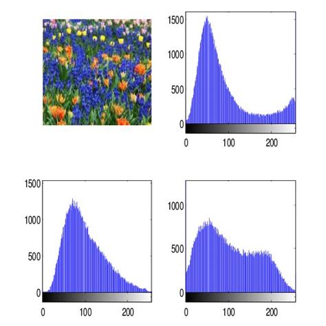 Decrypted Color Image Download Scientific Diagram