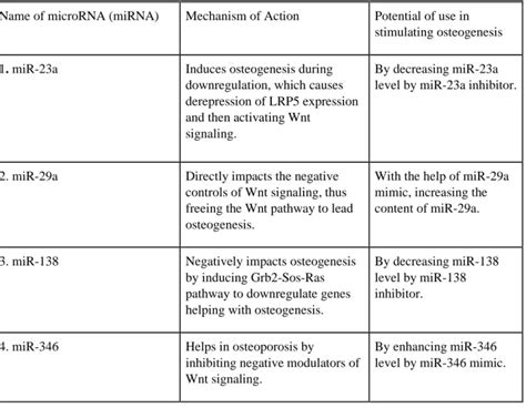 Examples Of Mirna In Osteogenic Differentiation Of Msc