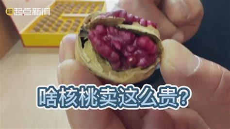 商洛：一颗8块！一吨24万！啥核桃？！ 陕西 洛南县 西安