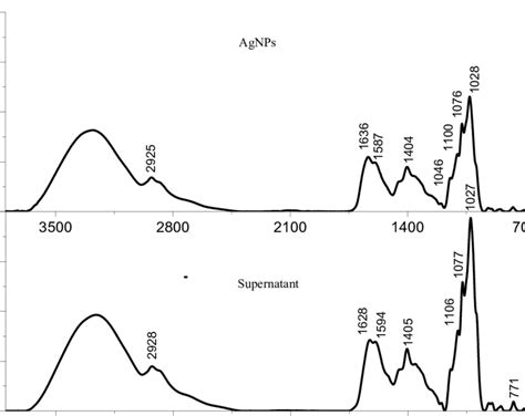Fourier Transform Infrared Ft Ir Spectra Of Silver Nanoparticles A