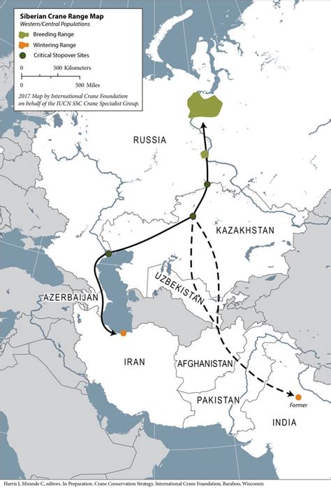 Siberian Crane Range