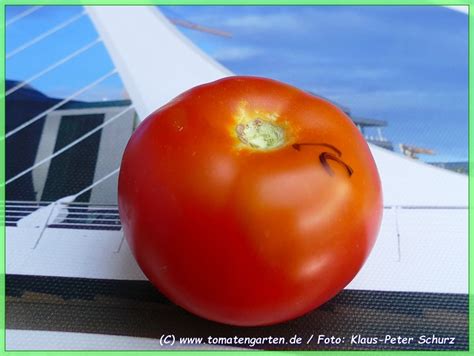 Tomaten-Atlas - Detailansicht - Crimson Crush