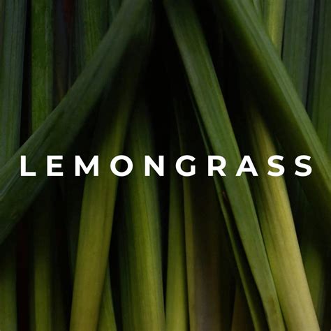 Organic Lemongrass Essential Oil 10ml Pure Aromatherapy Solution