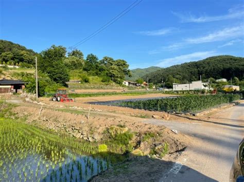 포천 금동 휴양림 캠핑장캠핑의 계절이 온다 네이버 블로그