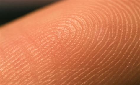 Loreal Joins Forces With Bioprinting Company To 3d Print Human Skin