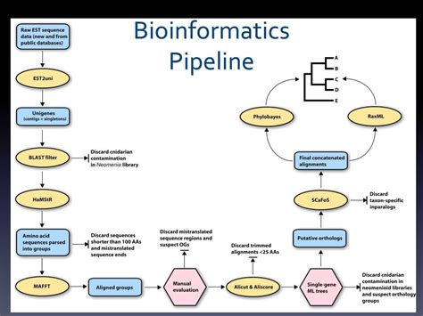 Bioinformatic And Computational Research In Biological Sciences Ppt