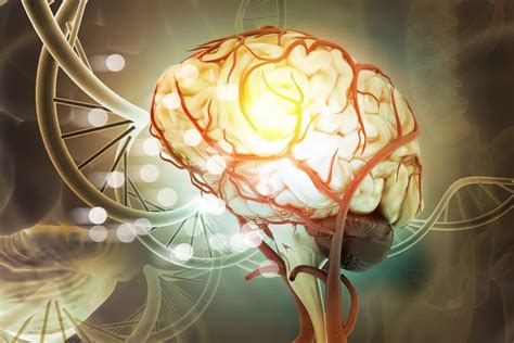 Lab Grown Mini Human Brains Sent Into Space Aged Faster Than On Earth