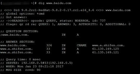 Windows、linux查看域名解析、跟踪路由 Dns解析域名 Csdn博客