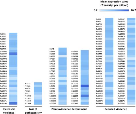 Figure 2 From Transcriptome Analysis Of Phytophthora Cactorum Infecting